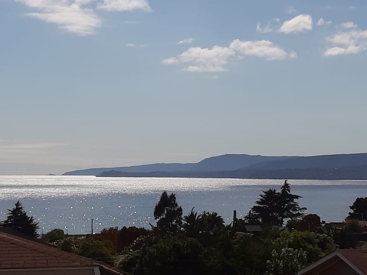 Bluefin Suite - Algarrobo