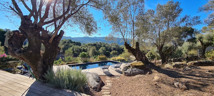 Villa "Ricco" Avec Piscine Au Cœur Des Oliviers - Figari