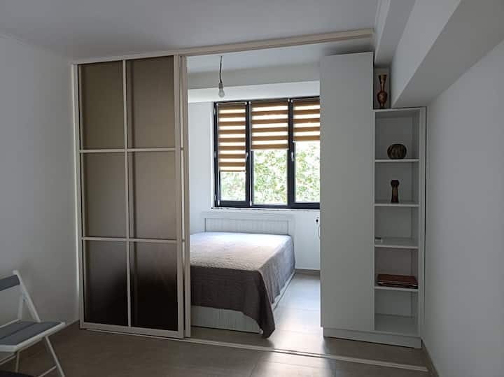 Centrally Located 1 Bedroom In Yerevan - Jerevan