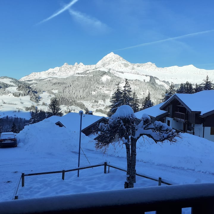 Studio Le Cernix/crest-voland -250 M Des Pistes - Crest-Voland