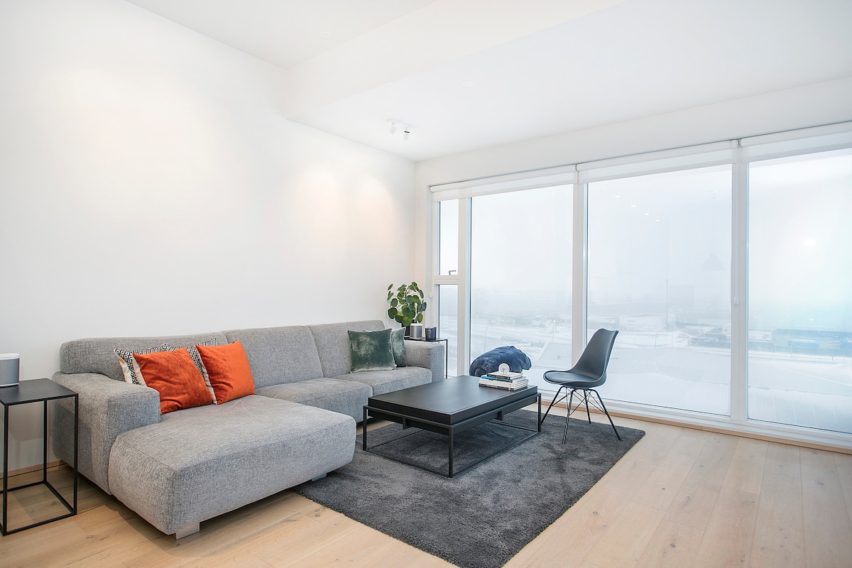 Ocean view luxury apartment downtown Reykjavík - Condominiums for Rent ...