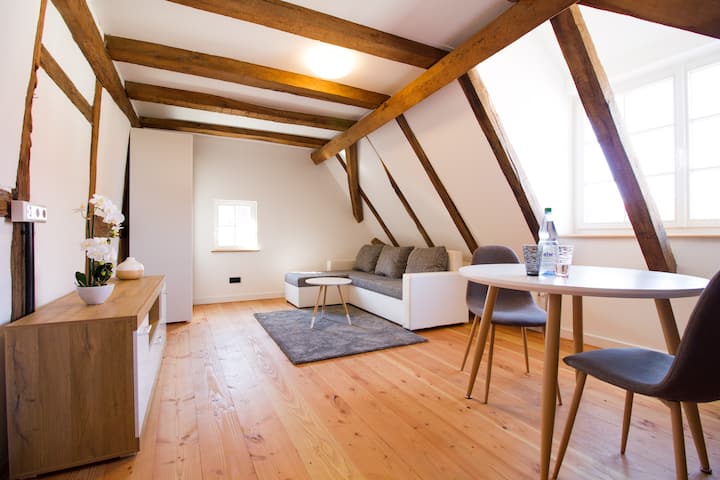 Deinapartmenthaus Cesar - Karlsruhe