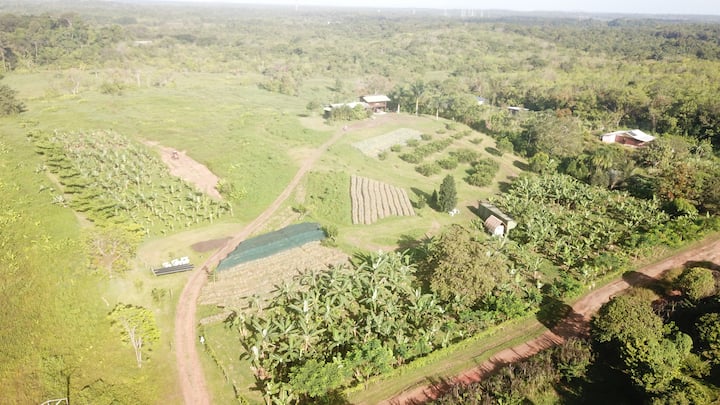 Gîte Rural à L'exploitation Villandia - Guyane française