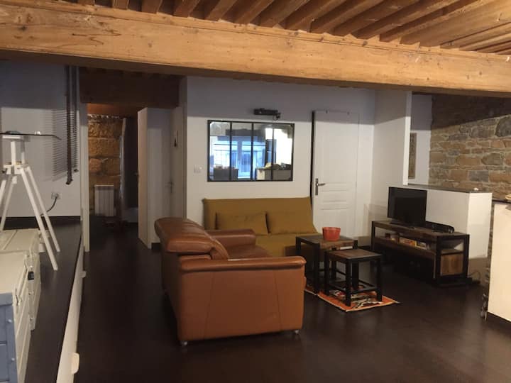 Appartement Atypique Pentes De La Croix Rousse - Lyon