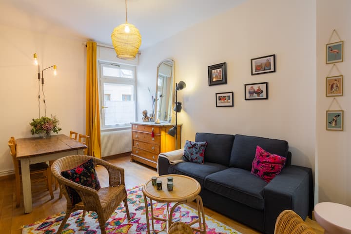 Superbe Appartement Cosy à Schiltigheim - Hœnheim