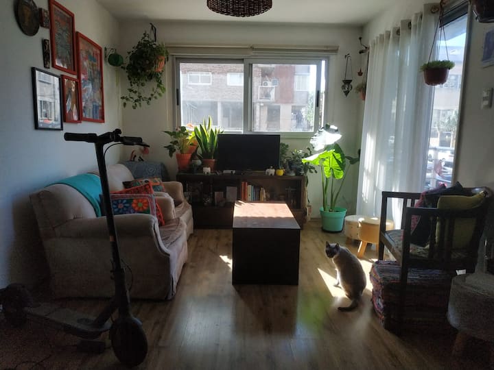 Habitación En Montevideo, Ubicación Ideal. - Uruguay