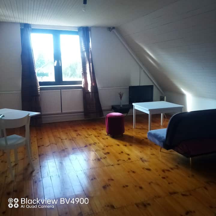 Großes Zimmer Im Einfamilienhaus (2er Wg) Citynah - Rostock