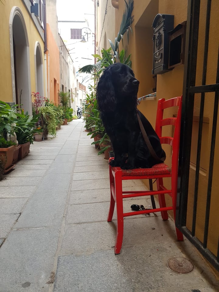 Esclusivo Appartamento In Centro Storico, Castello - Cagliari