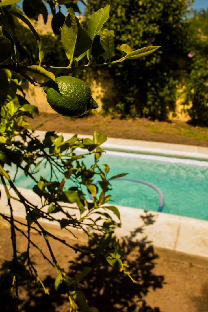 Casona Leyría. Boutique - Azul