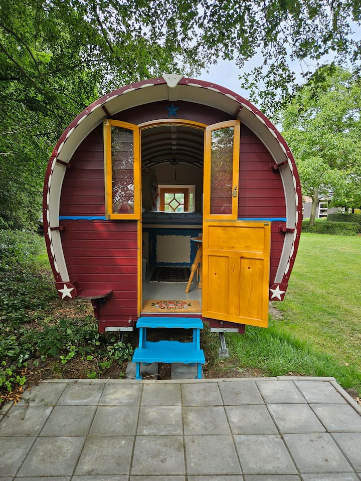 Ierse Trekkershut - Groningen Province