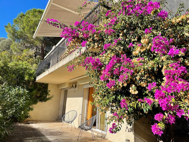Trés Agréable Villa Vue Mer Et Piscine - Cargèse