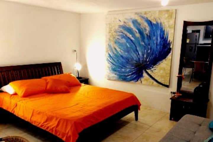 Orange Parrot San Antonio - Cali