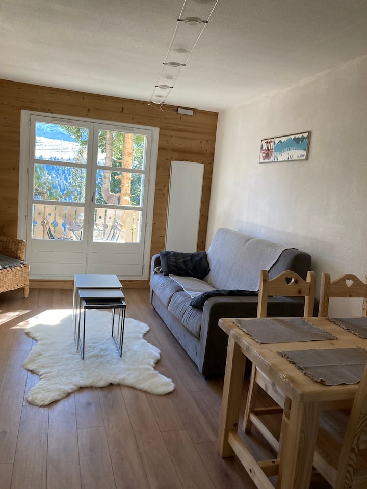 Appartement Hameau Sud 4pers-25 M² Refait à Neuf - Les Carroz d'Arâches