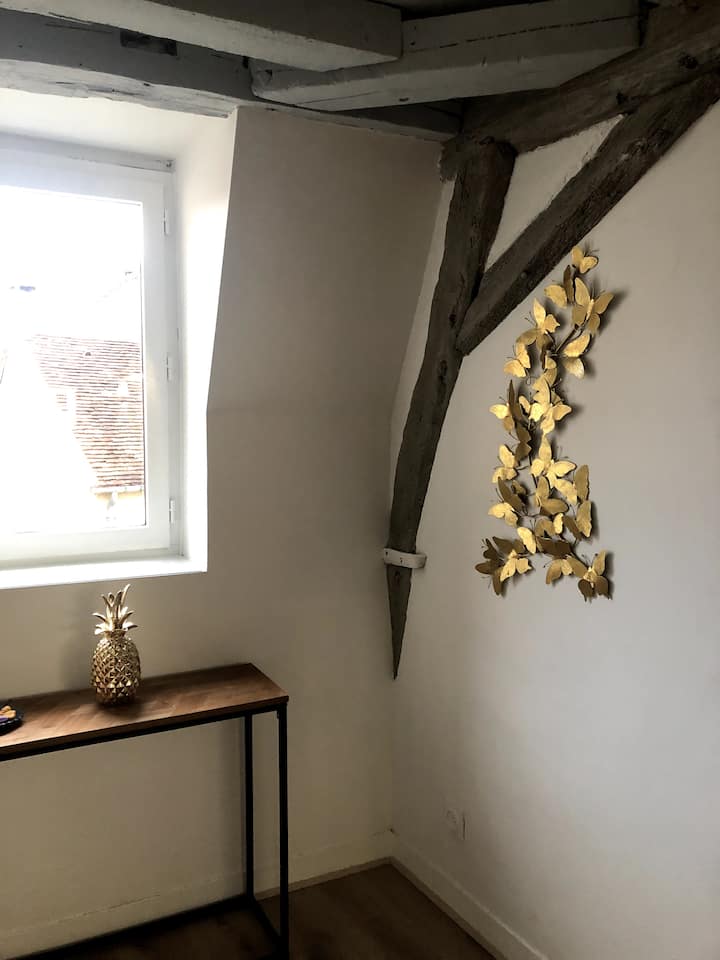 Superbe Duplex Situé Dans Une Demeure Du Moyen Age - Auxerre