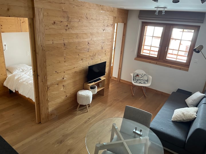 Magnifique Appartement Ski In - Ski Out - Zinal