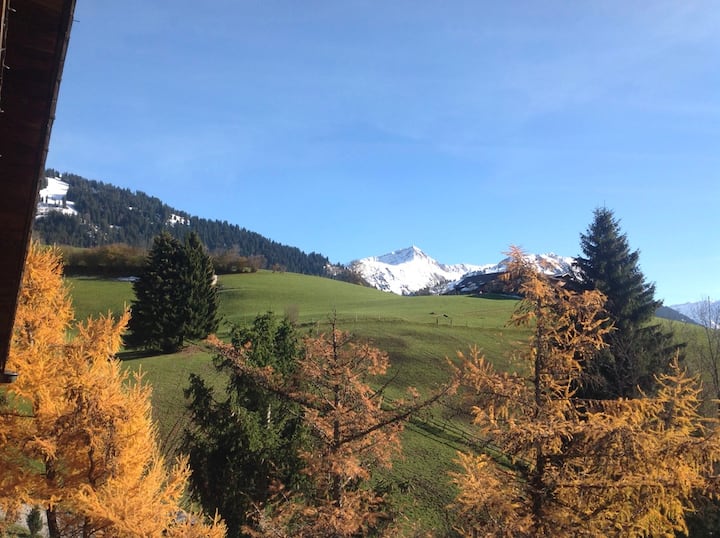 Superbe Appartement Avec Cheminée Et Terrasse - Gstaad