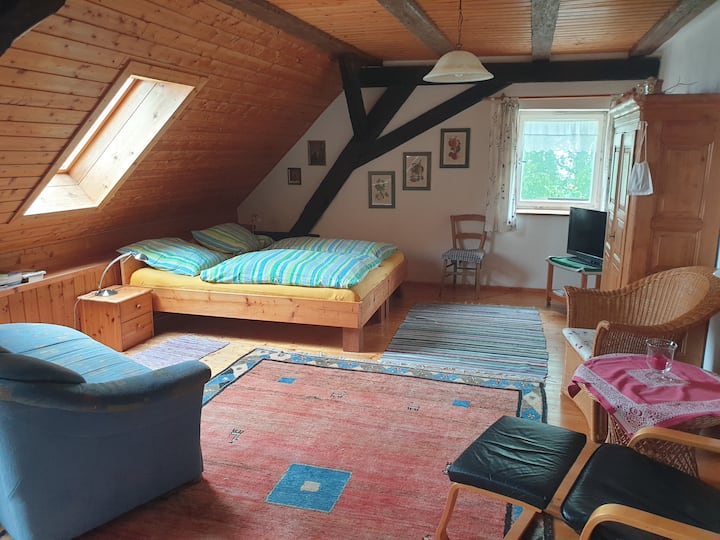 Jochhaus-horben 1 Zimmer  Schwarzwald Erleben - Horben
