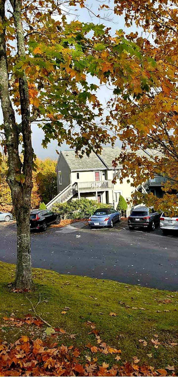 Cozy 2br Condo In Sugar Mountain - Banner Elk, NC