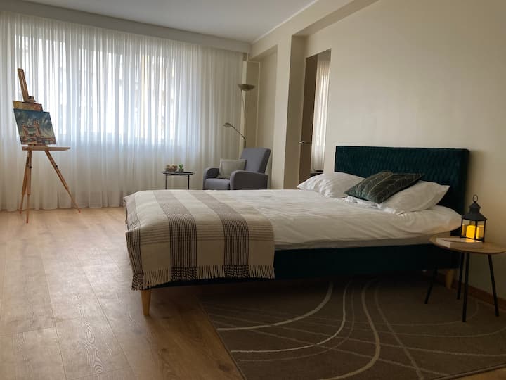 Lovely 2-bedroom apartment in Chisinau centre - Chișinău