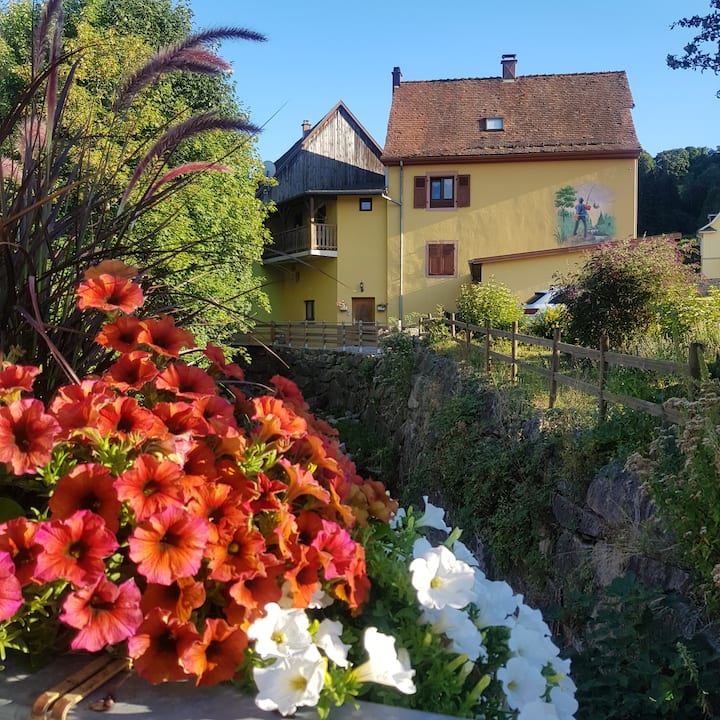 La Grange De Mon Grand-père 3* - Claude Et Aurore - Metzeral