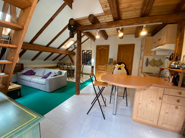 Appartement Dans Le Village De La Grange-valmorel - Moûtiers