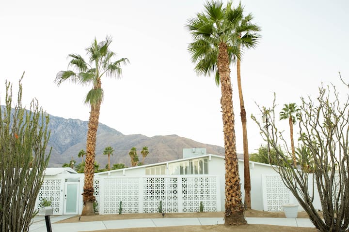 Palm Springs Mid Century Krisel - Palm Springs, CA