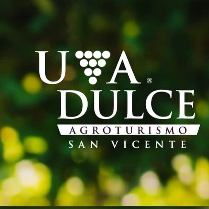 Cabaña Millahue Uva Dulce - San Vicente de Taguatagua