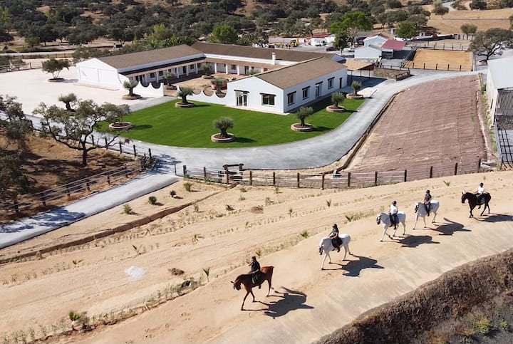 Hacienda En Sevilla, Rutas A Caballos Y Naturaleza - El Ronquillo