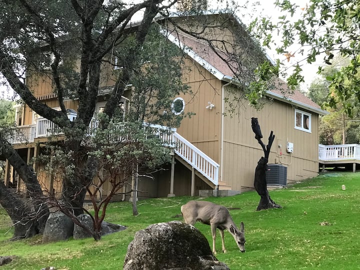 Near Yosemite/basslake Tranquil-deerhavn 3bd/2.5ba - Yosemite National Park, CA
