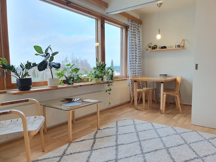 Alvar Aalto Apartment, Viitatorni, Jyvaskyla - Jyväskylä