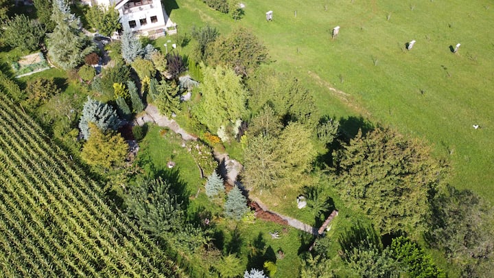 Aktivno Preživljanje Na Kmetiji - Laško