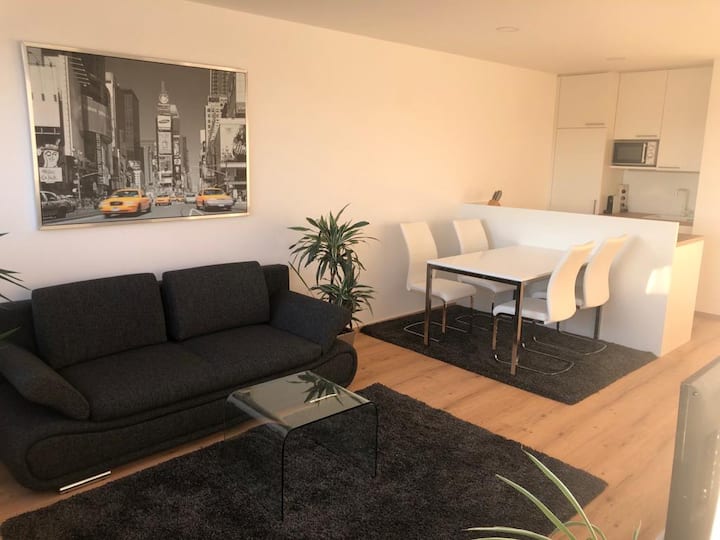 Amazing 5 Star Central Apartment Fantastic View - Linz