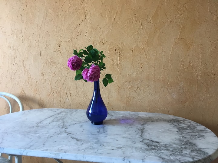 Appartement Abordable, Modeste Mais Chaleureux - Besançon