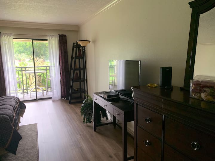 Golfview Condo Near Tampa 1 Bdrm 1 Bath - Wesley Chapel, FL