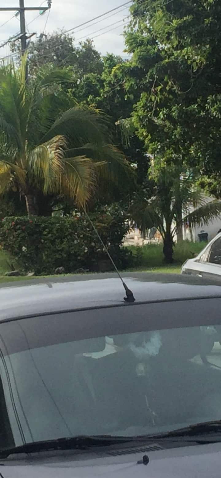 Habitaciones Con Cocineta - Campeche state, Mexico