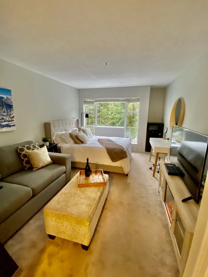Mountain Bike/golf Suite - Gym, Park, Storage - Whistler