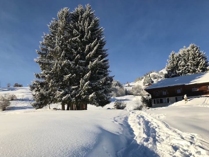 Endroit Exceptionnel, Paisible, En Pleine Nature - La Roche