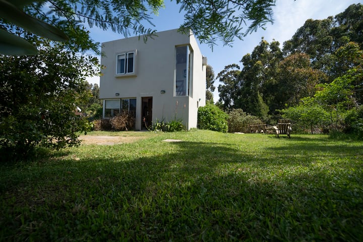 Jungle Ship. Design House In La Pedrera. - Uruguay