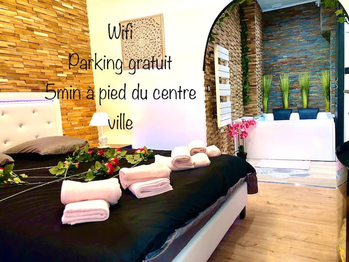 La Suite Romantique Jacuzzi,parking Gratuit,centre - Sens