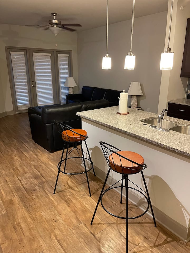 Chic Raleigh Flat - Raleigh, NC