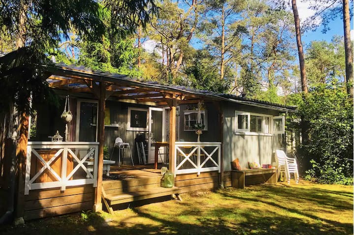 Charming Forest Cabin In The Veluwe, Dogs Welcome - Paesi Bassi