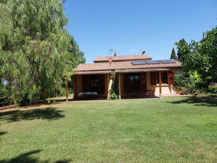 Flat With Private Covered Terrace,pool,very Quiet - Cecina