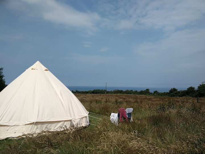 Natural Camping Meadow With Your Own Bathroom. - Fishguard