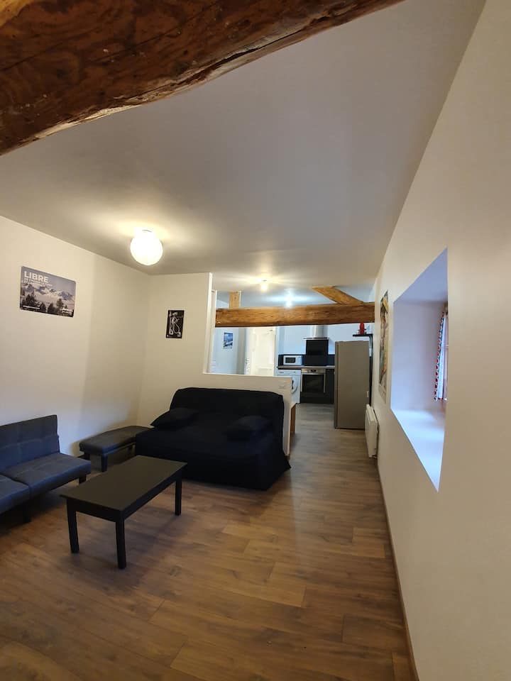 Superbe Appt 1-4prs,cntre Ville,thermes,télécabine - Ax-les-Thermes