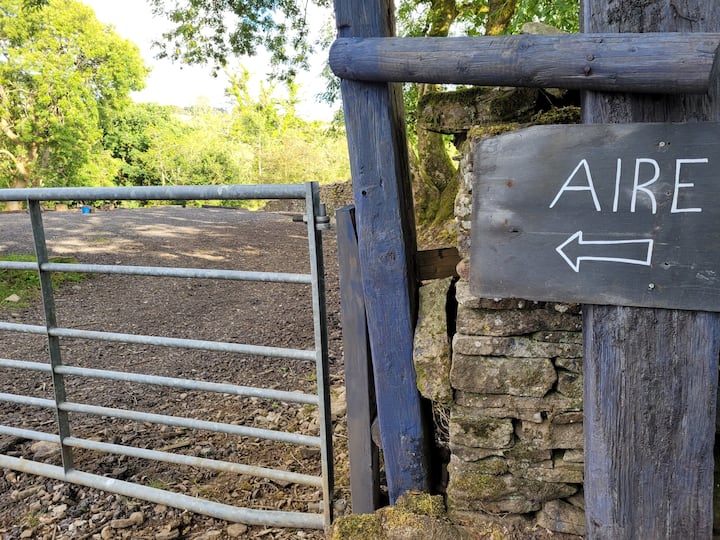 An Aire At Our Farm In South Wales - Pontypridd