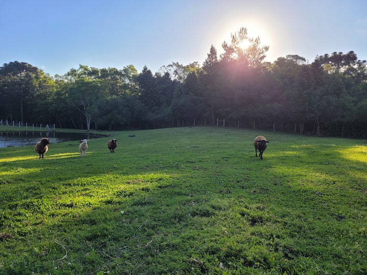 10 Best Ranches To Stay In Brazil | Trip101