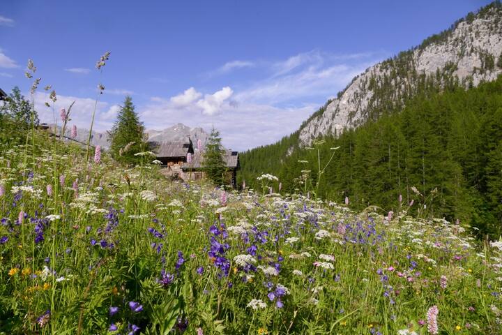 Chalet D'alpage Au Coeur De La Montagne - Vallouise, Francia