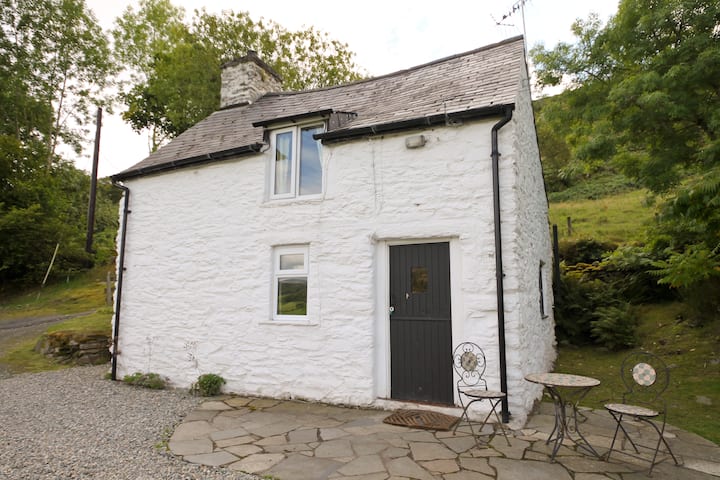 Bryn Awel Charming Grade Ii Listed Cottage - Bala