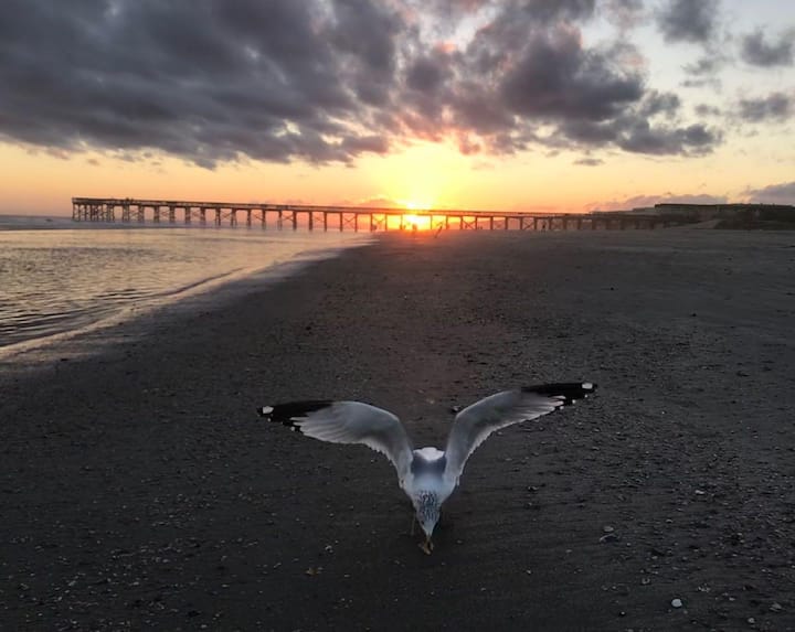 Lovely 1 Bedroom Beachside Condo-newly Renovated - Isle of Palms, SC