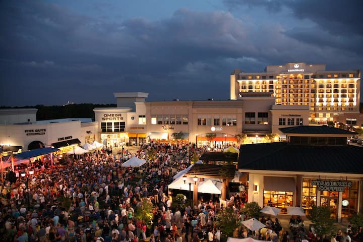 3 Bd House - Private Yard - Music Festival Access - Raleigh, NC